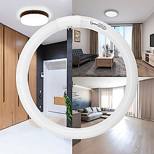 FC8T9 22W and FC12T9 32W Circular Light Bulb, Daylight 6500K Set, Round Repalement Bulbs, 8 Inch 22 Watts and 12 Inch 32 Watts Circline Kitchen and Bath Fluorescent Lamp, G10q 4 Pin Base, 2 Pack