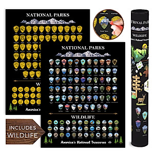Bright Standards National Parks Scratch Off Map of United States Poster [Includes Wildlife], National Parks Map, US Travel Maps, USA Gifts for Travelers Road Trip Adventure, Fits 16”x20” frame