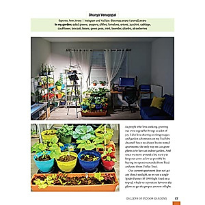How to Garden Indoors & Grow Your Own Food Year Round: Ultimate Guide to Vertical, Container, and Hydroponic Gardening (Creative Homeowner) Vegetables, Herbs, DIY Projects, Composting, Lights, & More