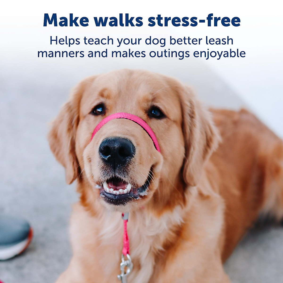 PetSafe Gentle Leader No-Pull Dog Headcollar - The Ultimate Solution to Pulling - Redirects Your Dog's Pulling for Easier Walks - Helps You Regain Control - Large, Royal Blue