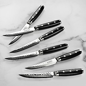 Enso HD 16 Piece Knife Set - Made in Japan - VG10 Hammered Damascus Stainless Steel with Gray Ash Block