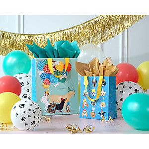 Papyrus 9" Medium Gift Bag (Birthday Dogs) for Birthdays and All Occasions (1 Bag)