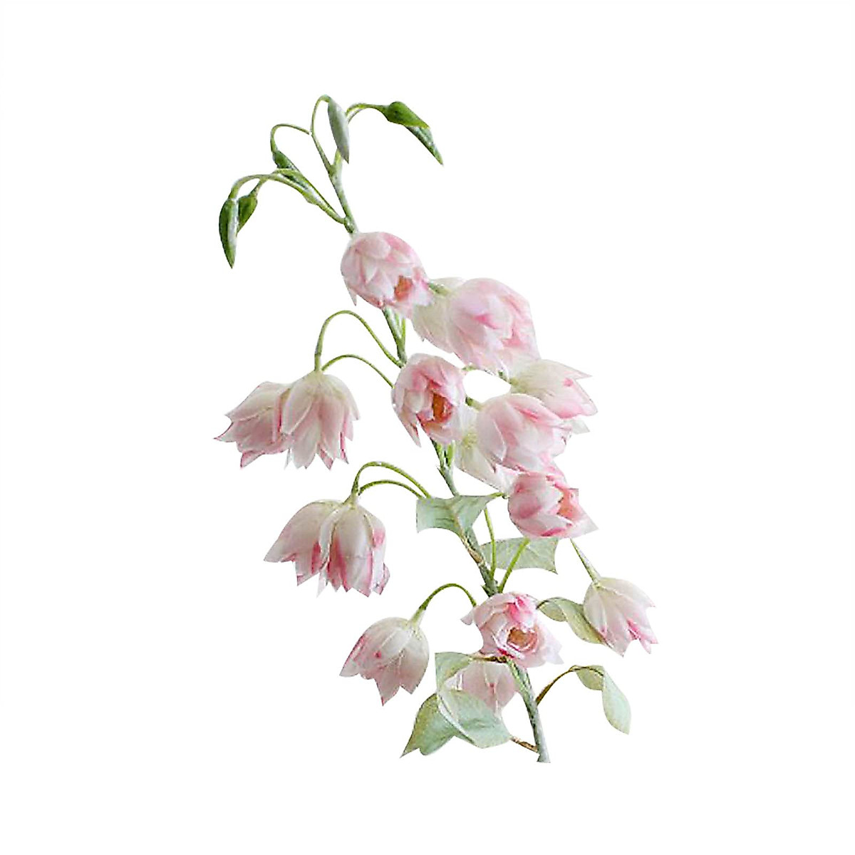 Fake Flowers,Artificial Plants & Flowers,Artificial Flowers Campanula 15 Flower Heads,Artificial Flowers Wind Chime Orchid Wedding Holding Flowers Bouquet Garden Wedding Party Office Decoratio (F)