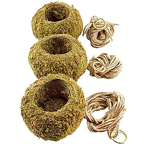 Esterno Kokedama Hanging Planters (Set of 3, 5.5in Diameter); Japanese Moss Ball Plant Holder for Ferns, Succulents, Orchids Etc