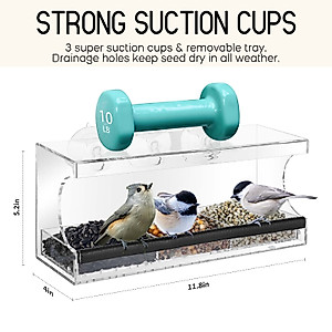 MrCrafts Window Bird Feeder for Outside with Strong Suction Cups, Fits for Cardinals, Finches, Chickadees etc
