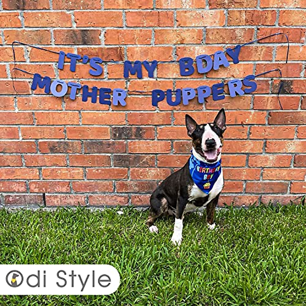 Odi Style Dog Birthday Party Supplies - Dog Birthday Bandana Set - Birthday Boy Bandana for Medium, Large Dogs, Party Hat, Crown and Cute Dog Birthday Banner with It's My Birthday Mother Puppers Sign