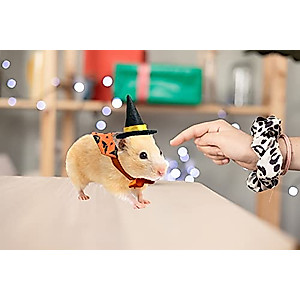 CooShou Halloween Guinea Pigs Wizard Hat Bandanas Costume Rabbit Triangular Scarf Black Orange Pumpkin Spider Bat Devil for Small Animals Bunny Sugar Glider Holiday Party S