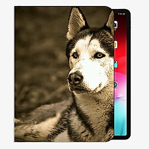 Wugao Wugao Case for iPad Air 3 (10.5-inch 2019,3rd Generation) and iPad Pro 10.5,Siberian Husky Blue Eyes A021 Business Folio Stand Cover with Pencil Holder