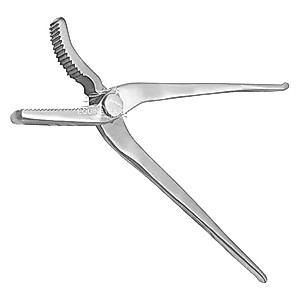 Equine Care Farrier Tools 13 Inch Farrier Alligator Hoof Nail Clincher, Farrier Tong, Piers, Chrome Vanadium Steel.