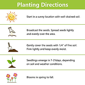 LUOJIBIE Moss Rose Seeds, 10,000+ Bulk Flower Seeds for Planting Outdoors(99% Pure Live Seeds, Non-GMO), Mixed Colors and Large Blooms, Annual Perennial, Easy to Grow, Attracts Pollinators