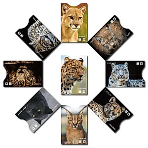 CARSLIFE 12 RFID Blocking Sleeves (9 Credit Card & 3 Passport Protectors) Premium Identity Theft Protection Secure Sleeves Travel Case Cat Design