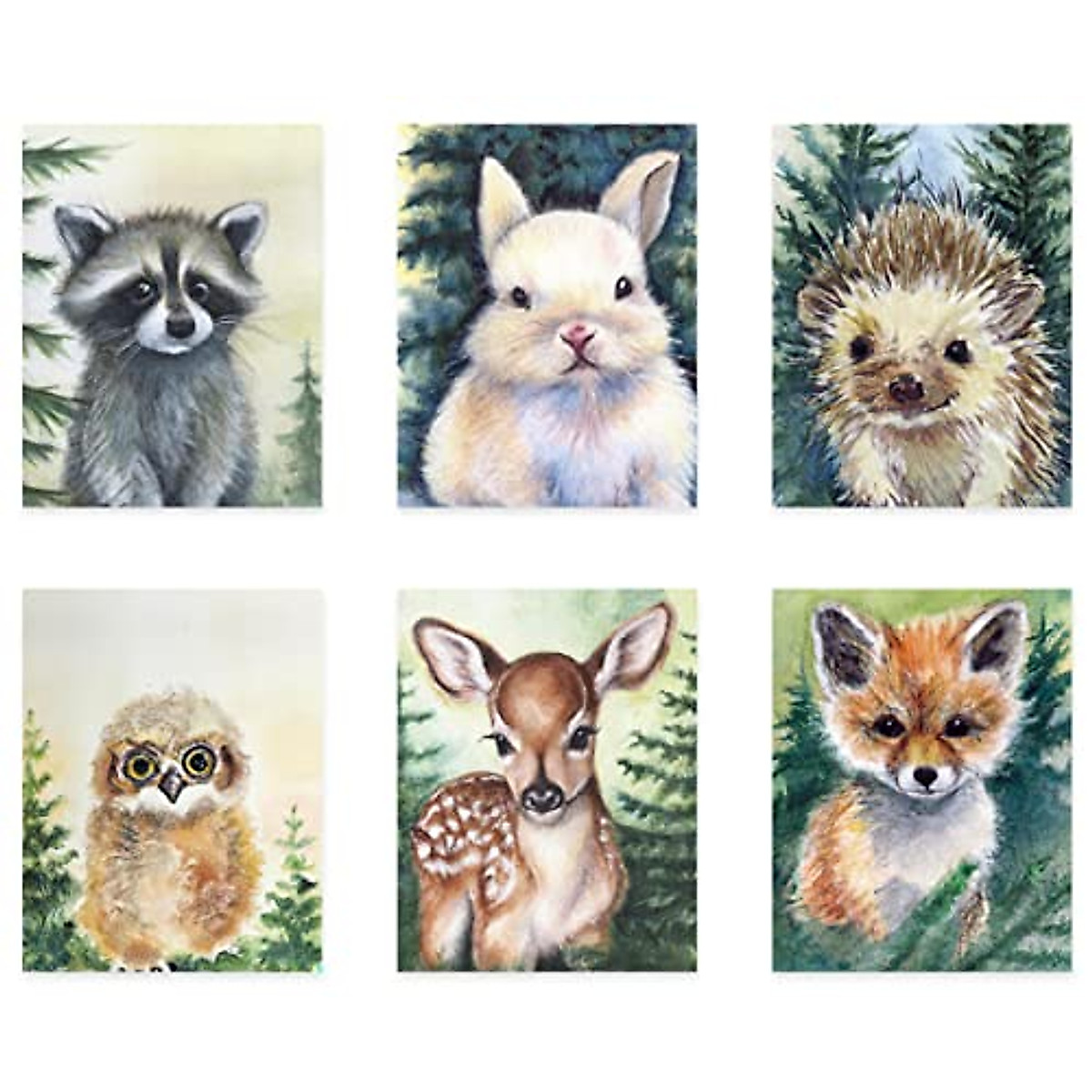 Woodland Creatures Nursery Wall Art Prints Set of 6 for Home Decor (8 x 10 Inch Unframed on Premium Fine Art Matte Paper) Features a Raccoon, Fox, Rabbit, Hedgehog, Deer and Owl