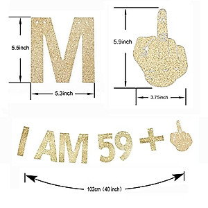 Morndew Gold Gliter I AM 59+1 Paper Banner for 60th Birthday Party Sign Backdrops Funny/Gag 60 Bday Party Wedding Anniversary Celebration Party Retirement Party Decorations