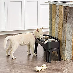 IRIS USA Large Elevated Pet Feeder with Attachable Legs and 2 Stainless Steel Bowls, For Small to Large Dogs Cats with 2 Quart Bowls and 12"H Legs Raised Pet Feeding Station, Black