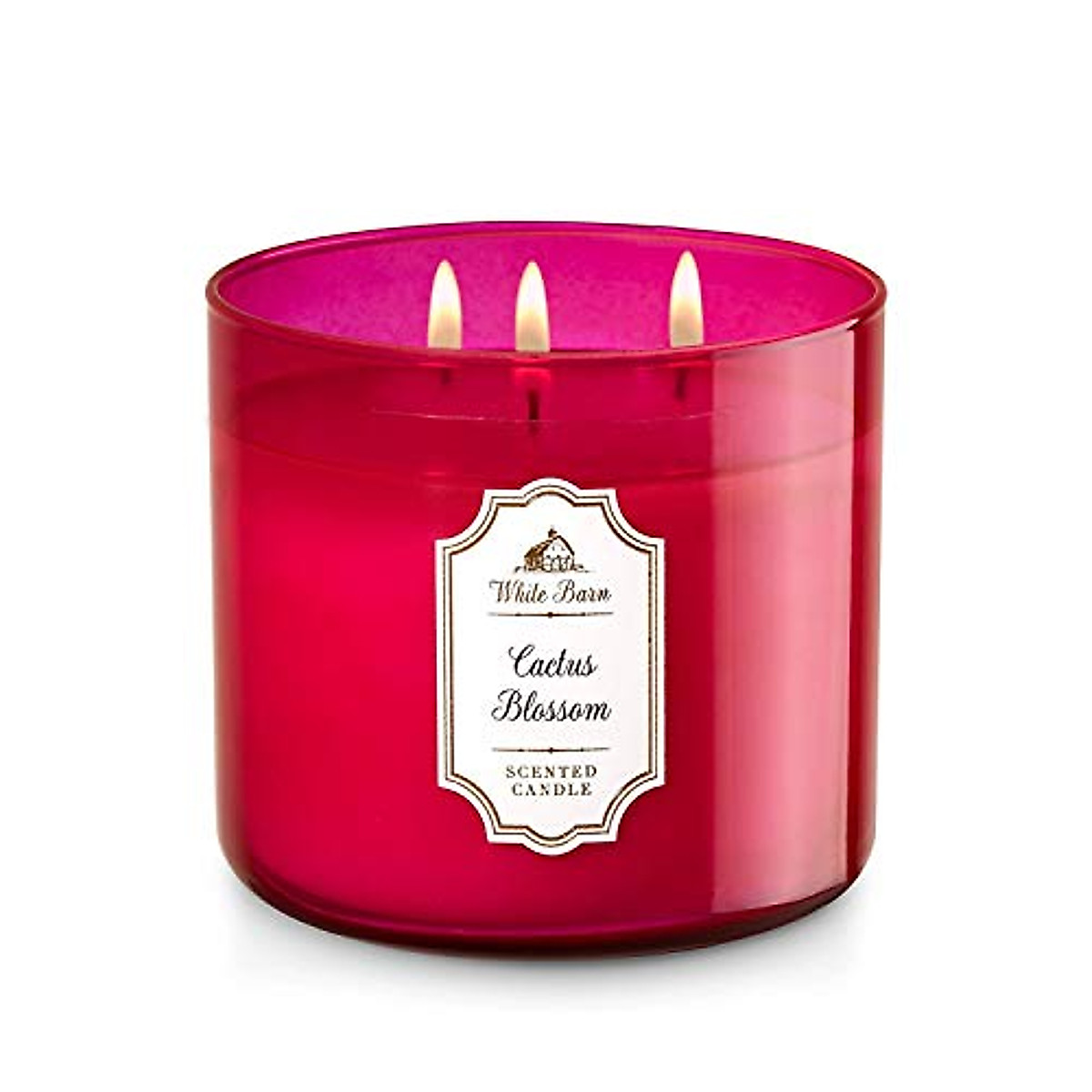 White Barn 3 Wick Candle 14.5 Ounce, Cactus Blossom