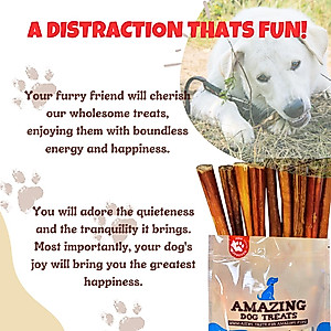 Amazing Dog Treats - 4-6 Inch Variety Bully Sticks (1 lb) - Premium Dog Chews - All Natural Rawhide Alternative - Long Lasting Dog Treats - No Hide Dog Chew - 100% Beef - Promotes Canine Dental Health