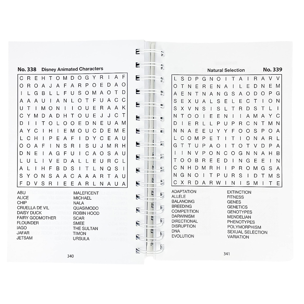 Word Search Puzzles (Big Book of Puzzles) (Brain Busters)