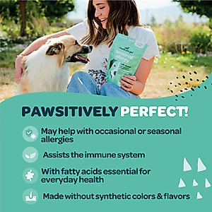 Dog Allergy Chews with Probiotics | Seasonal Allergy Chews for Dogs with Wild Alaskan Salmon Oil & Colostrum | Environmental Dog Allergy Support | NASC Certified & Made in The USA | 90 Chews