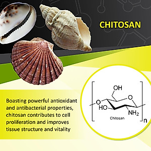 GastroMend XC, 100% Natural Equine Stomach Health for Horses, Promotes Healing & Prevention of Gastric Ulcers, Highly Potent & Effective, Supports Gastric and Hindgut Health, 30 Servings, Made in USA