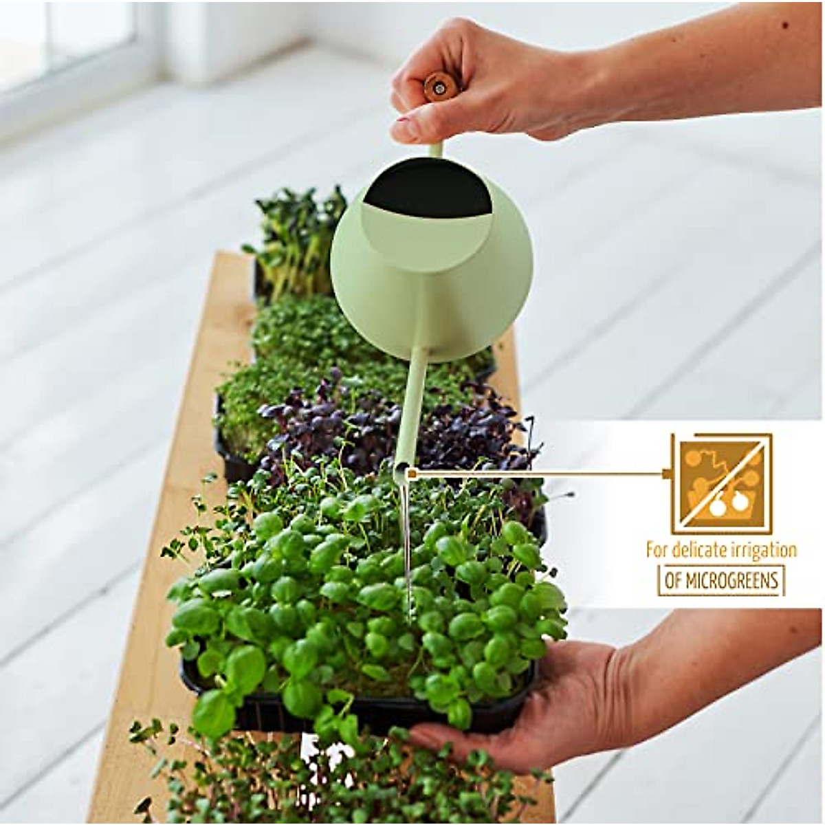 Grehge an Indoor Plants, Small Stainless Water Can Wooden Handle for House and Office Bonsai Flowers, Cute Watering Can Garden Sculpture Outdoor Decoration