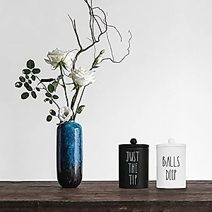 Farmhouse Apothecary Jars, Qtip & Cotton Ball Holder with Lids, Funny Rustic Cotton Swab Canisters for Bathroom Decor Storage Organization (Black & White)