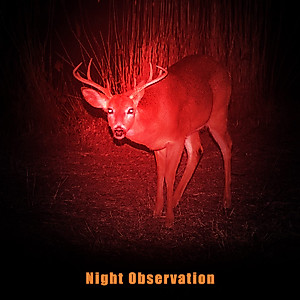 Tuanse 4 Pcs Red Light Flashlight Red LED Flashlight Red Light Pen Light Flashlight Super Bright Red Flashlight Red Torch for Astronomy, Aviation, Night Observation and More