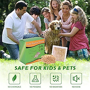 Mouse Repellent,Peppermint Oil to Repel mice and Rats in Warehouse/Basement/Attic/Garage/Shed/Cabin,1.23 Oz.(5 Pouches) New Type