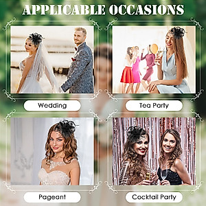 WLLHYF Fascinators Hat, 1920s Fascinators Hats for Women Flower Mesh Feathers Hair Clip Tea Party Hats Feather Headband (Black)