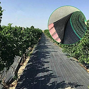 GRASSCLUB Weed Barrier Control Woven Garden Weed Landscape Fabric Heavy Duty Ground Cover 6.5ft x 32ft (208 Sq ft)