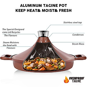 Non-Stick Frying Pan/Skillet 11", 3QT Tagine Pan, Aluminum Pans with Lid, Stove/Oven-to-Table Cookware, Dishwasher Safe& Compatible with All Stovetops（Terracotta）