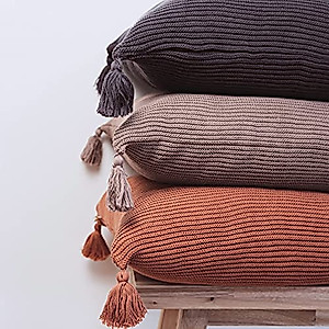 Lumi Living 100% Soft Cotton Raised Stripes Textured Rib Knit Throw Pillow Cover with Tassels (20x20, Rust)