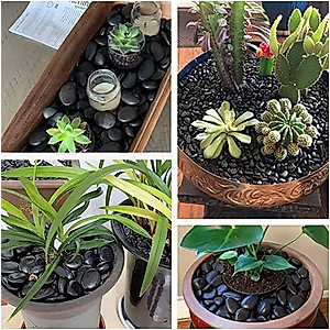 NMEINV 2 lb Natural Decorative Black Pebbles - Decorative River Rocks for Bamboo Plants, Fish Tank, Vase Fillers and Fairy Garden(1 to 2 Inch).