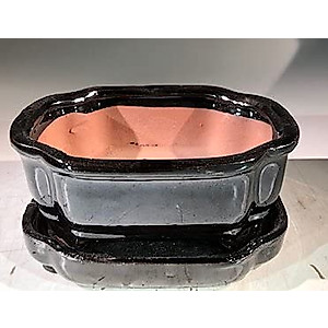 Bonsai Boy L368 6 x 4.5 x 2.5 in. Ceramic Bonsai Pot, Black - Rectangle