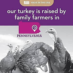 SPOT FARMS Organic Turkey Tenders 10.0 oz