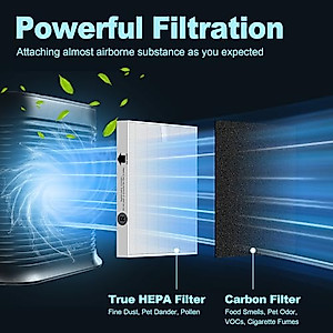 HPA300 HEPA Filter Replacement for Honeywell Air Purifiers HPA300 Series, HPA300, HPA304, HPA8350, HPA300VP, HPA3300b, HPA5300, Replace HRF-R3, 6 HEPA R and 8 Pre Filters A HRF-AP1