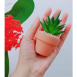 TIMECOSY Mini Macrame Plant Hanger Rear View Mirror Car Cactus Charm Decorations Boho Hanging Plant Holder, Tiny Car Succulent Gifts for Plant Lover, 10.5-Inch