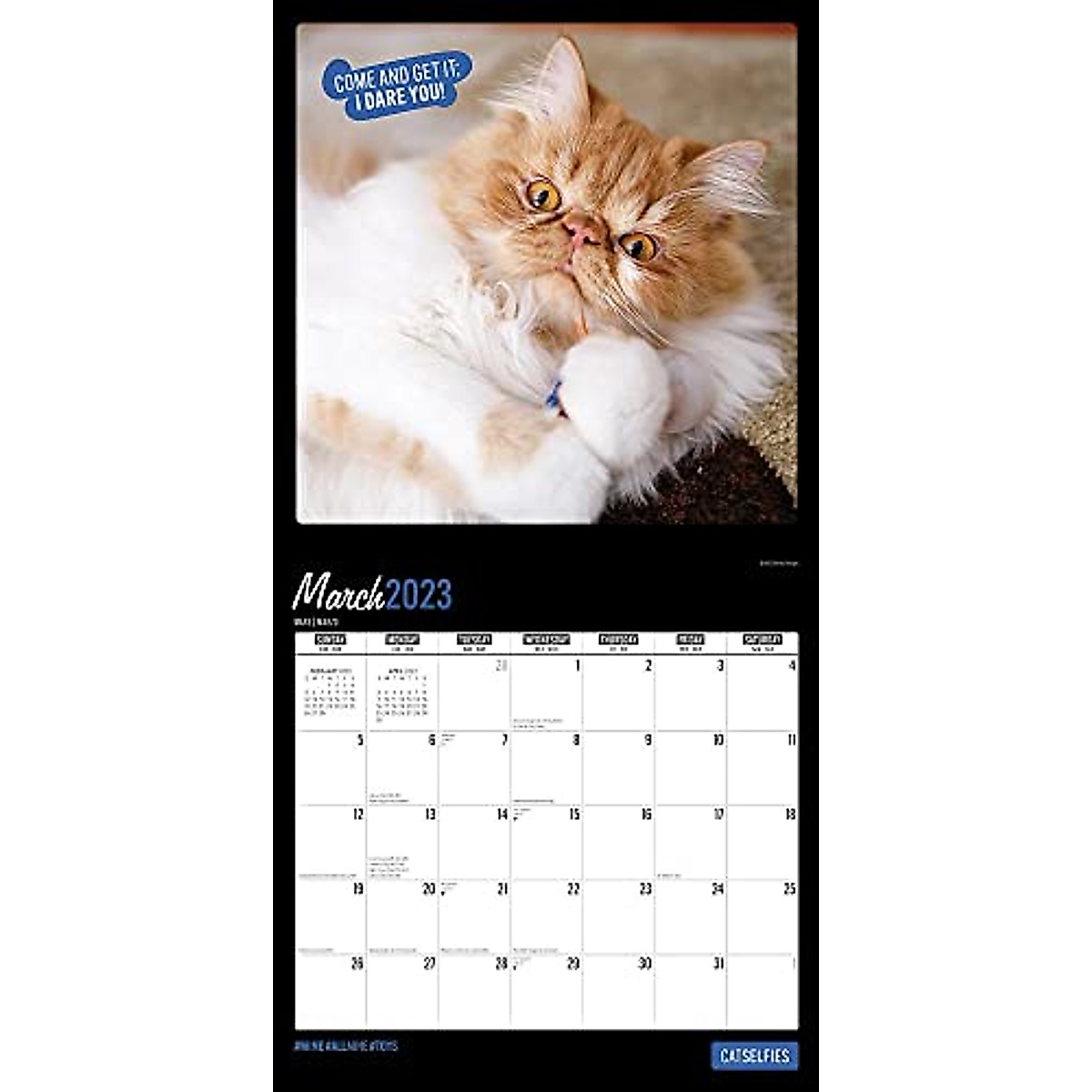 Cat Selfies | 2023 12 x 24 Inch Monthly Square Wall Calendar | BrownTrout | Pet Humor Kitten Feline