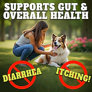 Probiotics for Dogs (1 Chew Per Day - 30 Day Supply) Soft Chews for Dog Digestive Health Prevents Diarrhea, Allergies. Probiotic for Healthy Stomach, Gut & Overall Wellbeing