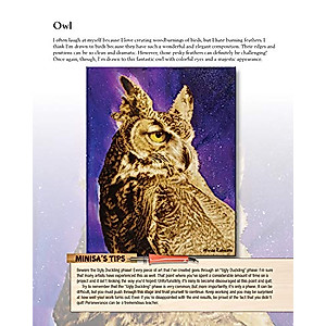 Woodburning Realistic Animals: 12 Step-by-Step Pyrography Projects of Birds, Pets, and Wildlife (Fox Chapel Publishing) Tutorials for Eyes, Fur, Manes, & Whiskers; Projects for Big Cats, Owls, & More