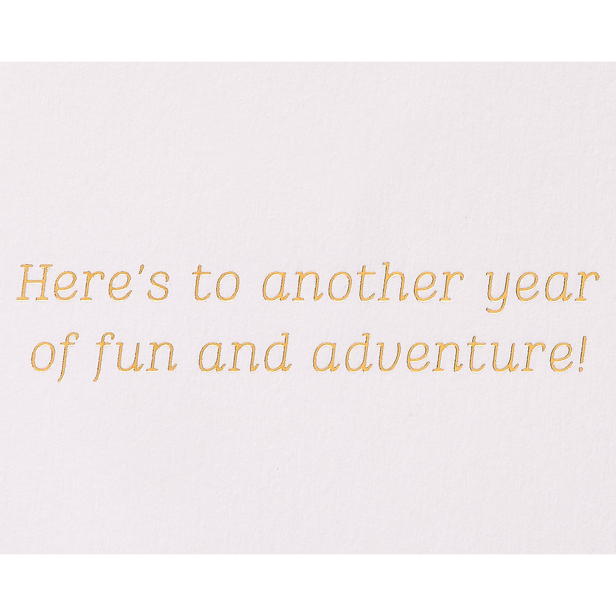 Papyrus Anniversary Card - Designed by House of Turnowsky (Another Year of Fun)