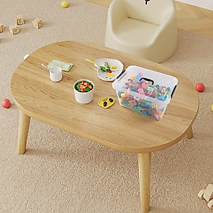 Tstorage 20-Quart Plastic Bins with Lid, Clear Plastic Boxes with Handles, 4-Pack