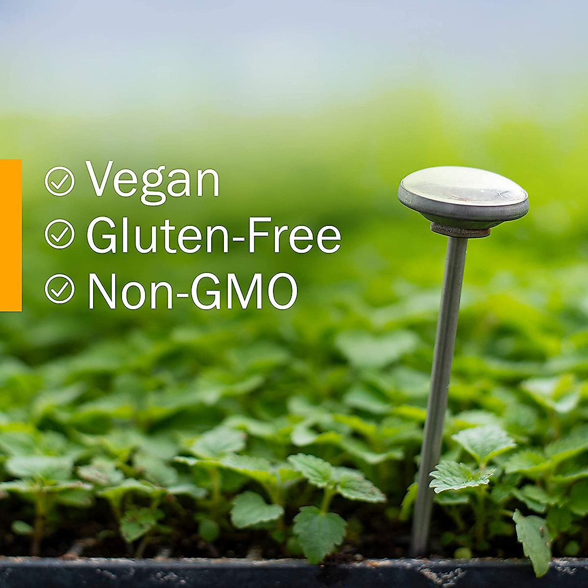 Herb Pharm Certified Organic Ginkgo Liquid Extract for Memory and Concentration - 1 Ounce (781468)