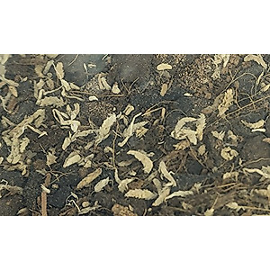 Josh's Frogs BioBedding Tropical Bioactive Substrate (10 quarts)