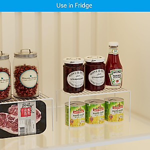 iPEGTOP Set of 2 Kitchen Cupboard Organiser Shelf, Small Size 10.6 x 5.1 Inch Freezer Cabinet Organization Storage Shelf Wire Rack, Steel Metal Shelves for Fridge Pantries Countertops Utensils -White