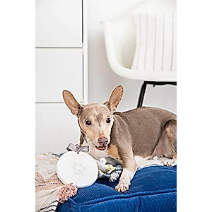 Pearhead DIY Pawprints Keepsake Kit for Dogs Or Cats, Christmas Ornament, Holiday Home Décor for Pet Lovers, Clay Paw Print Imprint, White