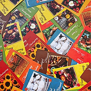 Winlyn 120 Sets Bulk Blank Thanksgiving Cards with Envelopes Stickers Assortment 8 Design of Fall Pumpkin Leaf Photos Thank You Greeting Cards Note Cards for Fall Wedding Shower Thanksgiving Harvest