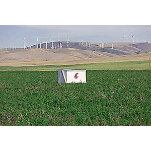 Alfalfa Seeds- Regenerative Cover Crop- Premium Certified Non-GMO Alfalfa Seeds - 1 Lb - High Germination, Conventional Alfalfa Seed -Garden Seed, Cover Crop, Field Growing, Alfalfa Hay, Alfalfa Honey