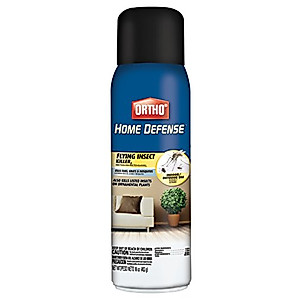 Ortho Home Defense Flying Insect Killer Aerosol 16 oz