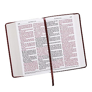 Personalized Bible Custom Text Your Name KJV Giant Print Two-Tone Brown Bible King James Version Custom Made Gift for Baptism Christenings Birthdays