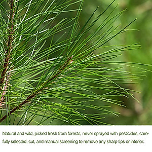 Wild Dried White Pine Needle Tea- 40 bags, 4g/bag- 100% Natural Pure Pine Needles Herbal Tea - Caffeine free- Cut & Sifted- Non-GMO - Immune Support